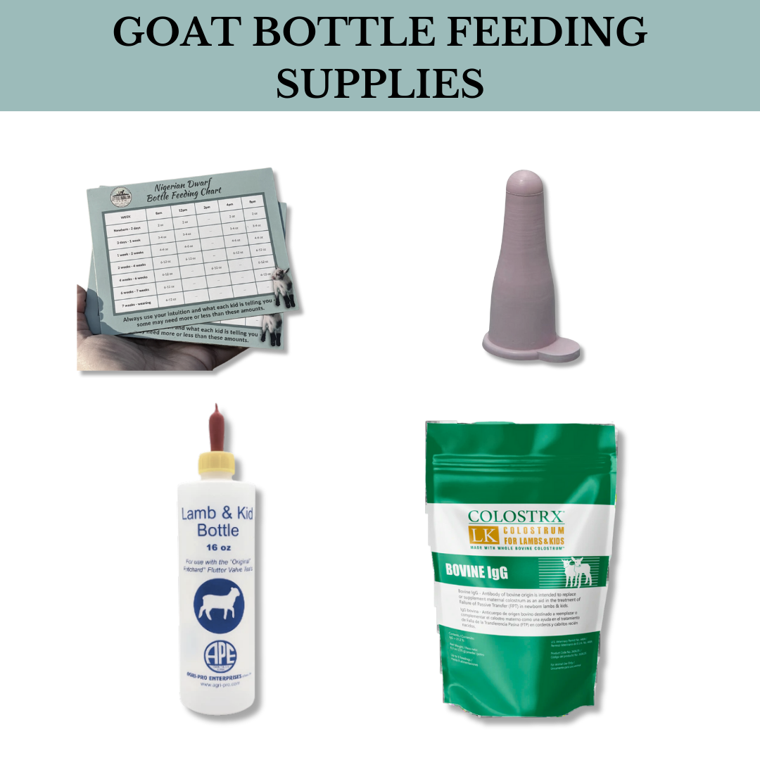 Goat Bottle Feeding Supplies – Mineral Buffet by Little Avalon Farm
