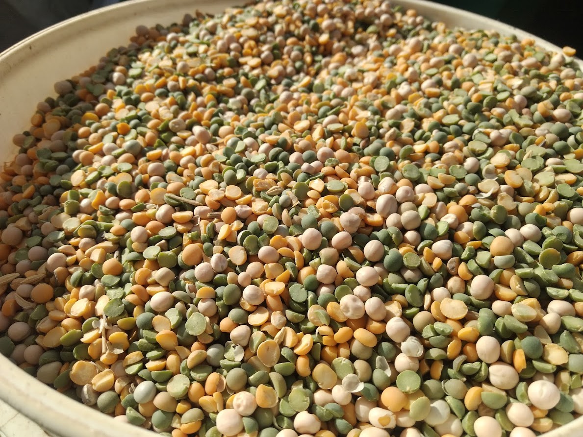 Field Peas, AKA Cull Peas or Split Peas – Mineral Buffet by Little ...